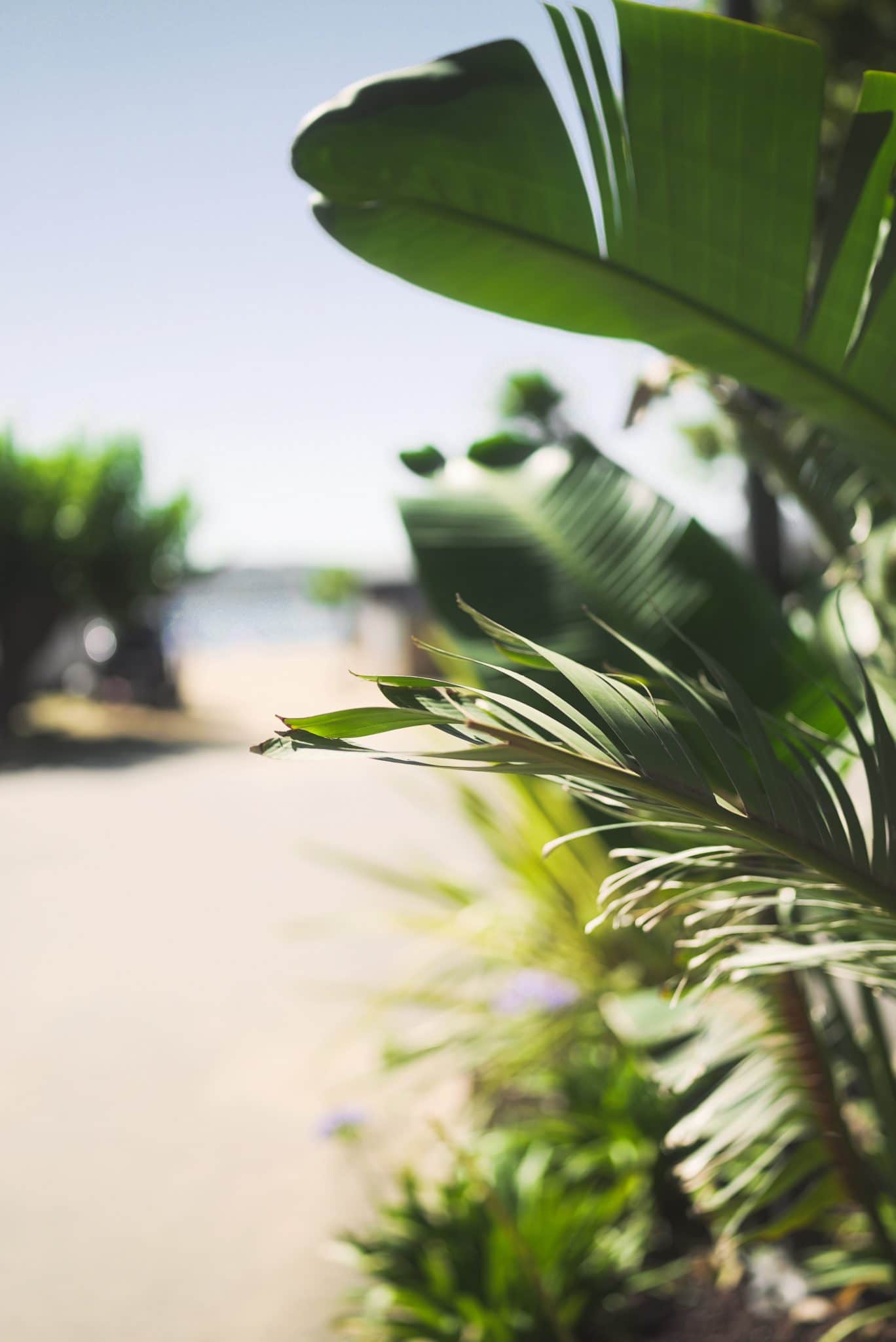 Camping des Mûres | Camping 4 étoiles en bord de mer à Port Grimaud